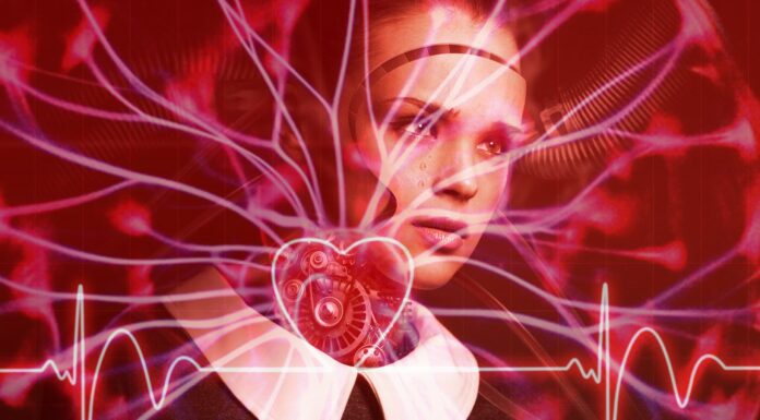 Conspiracy Theory: YouTube’s Algorithm of Love - Creator Handbook