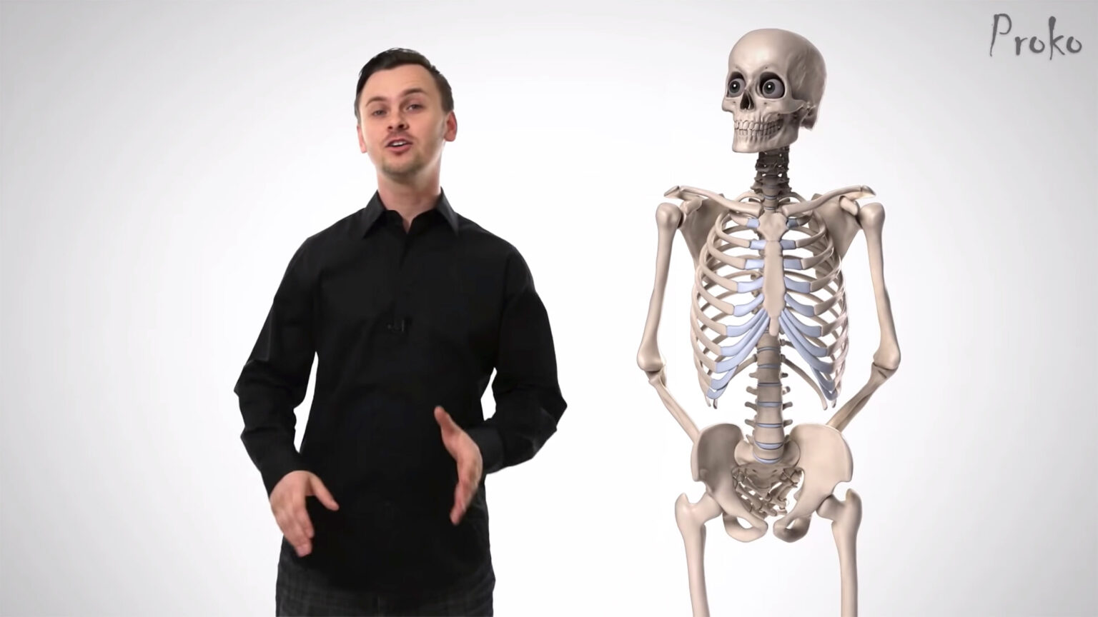 How Proko delivers high-quality art instruction on YouTube and beyond ...