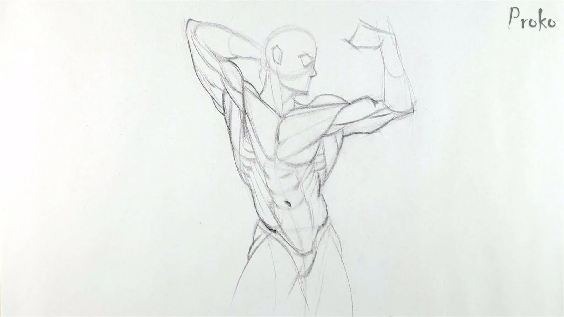 How Proko delivers high-quality art instruction on YouTube and beyond ...