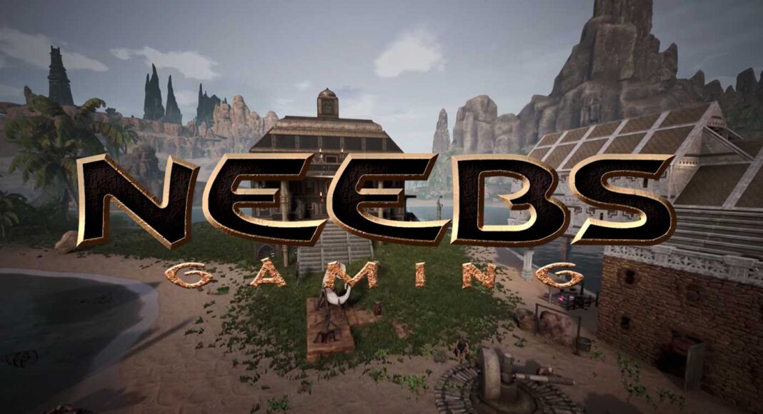 Comedy, Community and Survival: a Conversation With Neebs Gaming ...