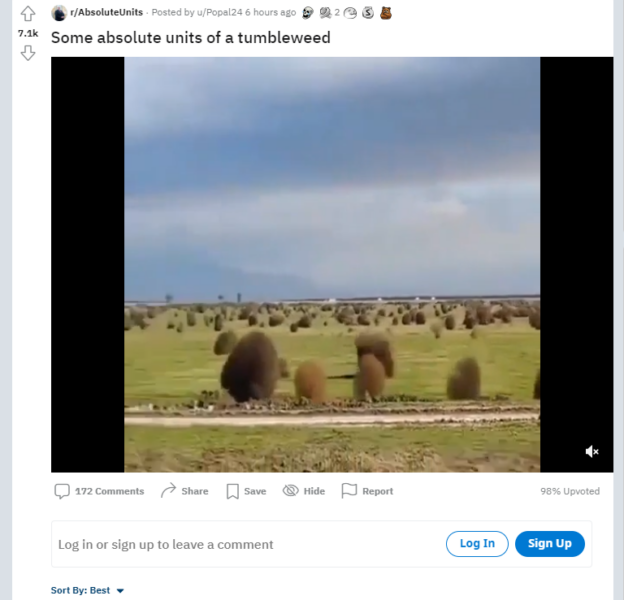 Reddit: the "front page of the internet" demystified - Creator Handbook