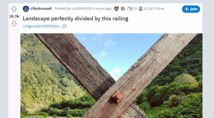 Reddit: the "front page of the internet" demystified - Creator Handbook