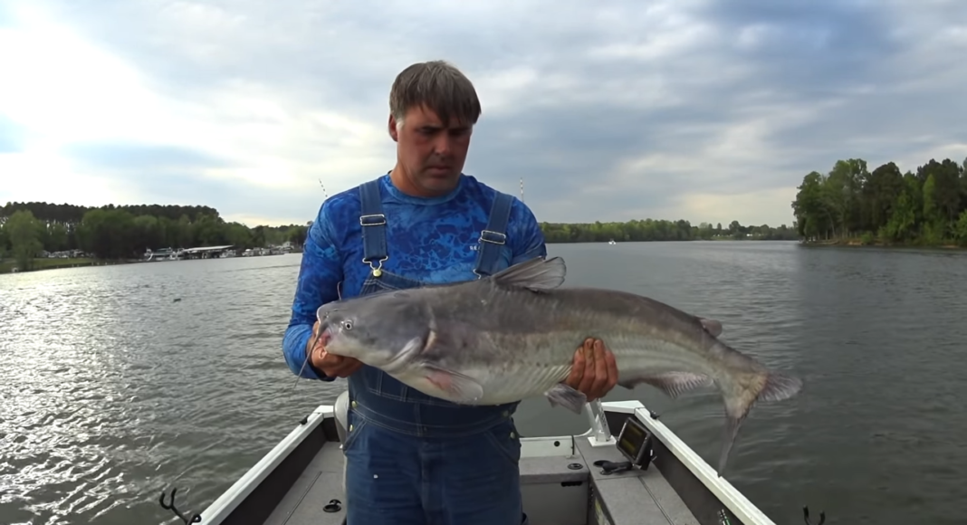 6 small YouTubers that deserve more subscribers - Creator Handbook