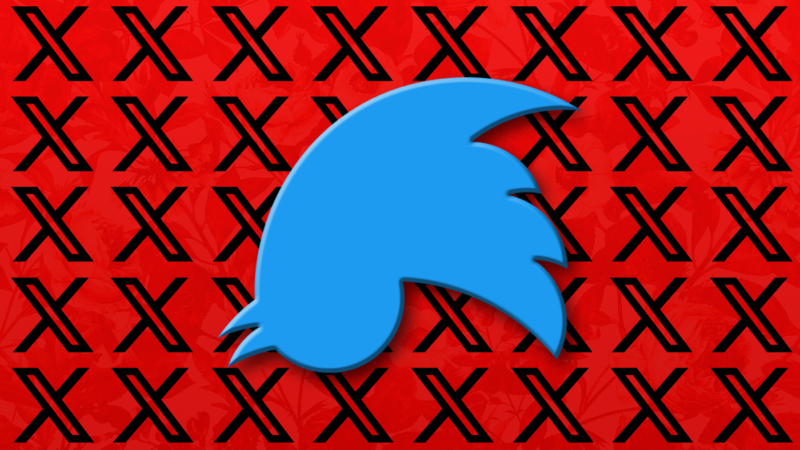 Is Twitter dead? - Creator Handbook