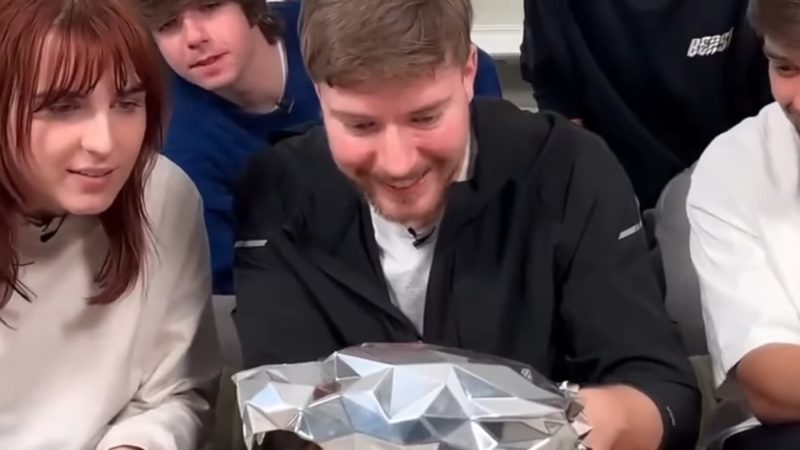 MrBeast "disgusted" and removes Ava Kris Tyson from company - Creator ...